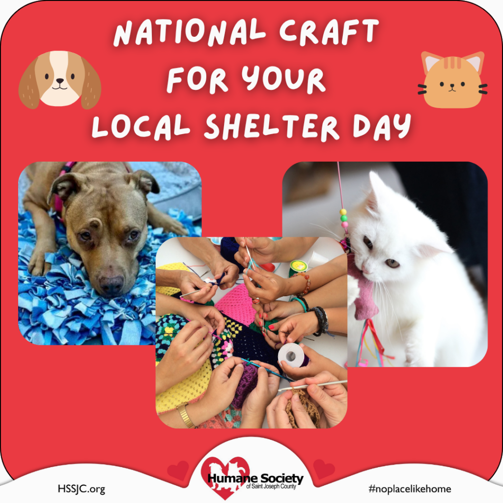 Celebrate National Craft for Your Local Shelter Day: Make a Toy, Make a ...